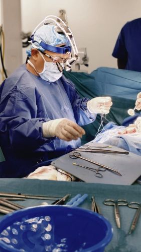 Minimally Invasive Mitral Valve Replacement