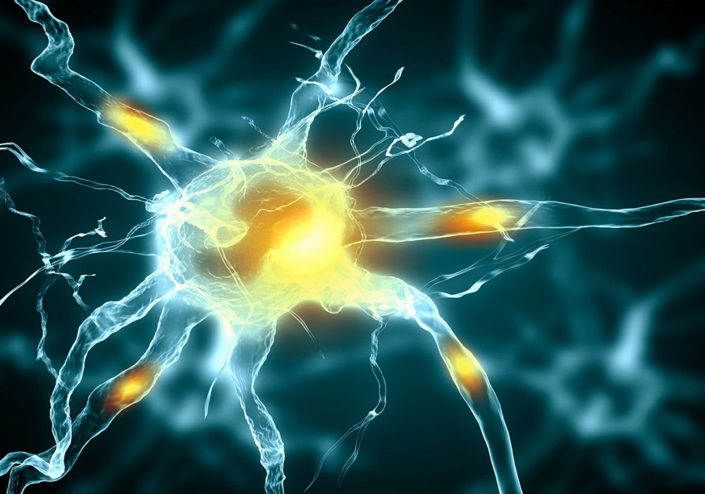 Neurology neurology